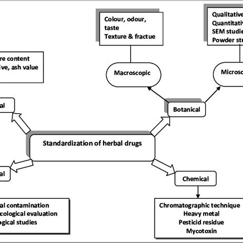Schematic Representation Of Herbal Drug Standardization 38 Factors