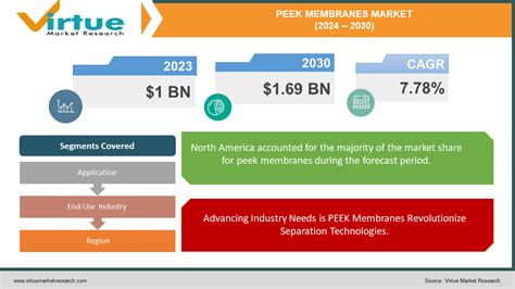Peek Membranes Market Size Share Growth 2024 2030