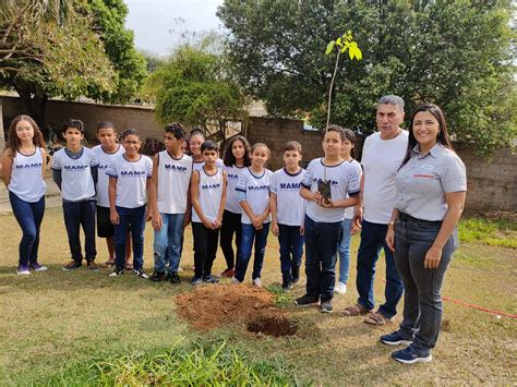 Alunos Vivenciam O Dia Da Árvore Plantando Mudas De Espécies Nativas