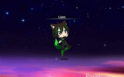 Prince Liam Wiki Mario Amino