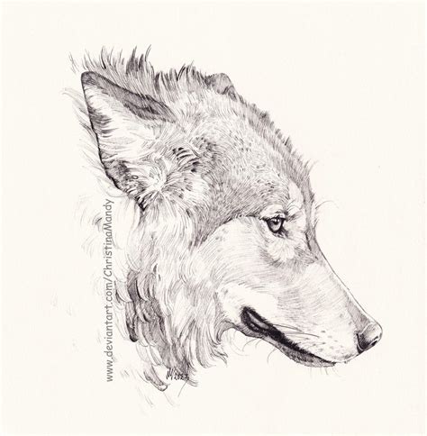Ink Wolf By Christinamandy On Deviantart