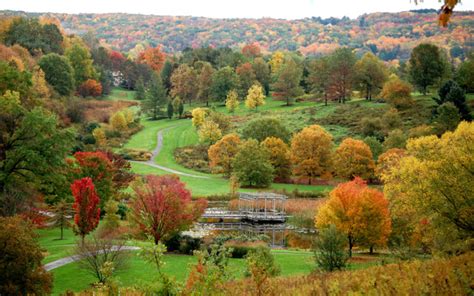 4 Reasons You Will Love Fall In The Finger Lakes