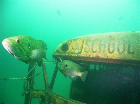 Lake Jocassee Underwater Hotel
