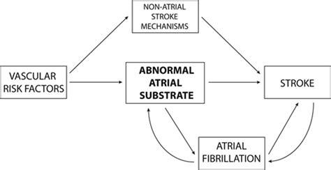 Atrial Fibrillation And Mechanisms Of Stroke Stroke