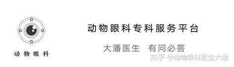 猫咪眼睛有一层膜这是霍纳氏综合征 知乎