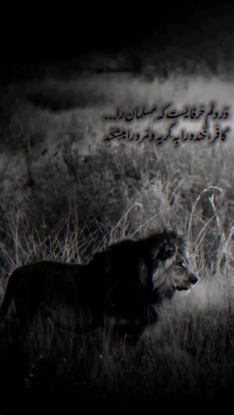 Dep Vider ‎مرد را میشکند🖤🖐🏻 Code Remix 70 Dep Vider عشق حرف شیر غمگین مرد 🎼‎ Instagram