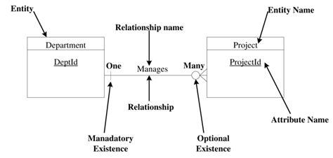 Entity Relationship Notations Download Scientific Diagram