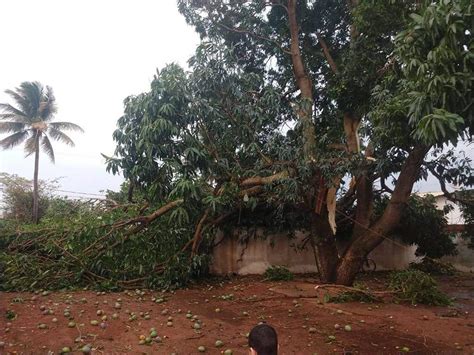 Chuva de granizo e vento forte causam destruição em Três Lagoas Interior Campo Grande News