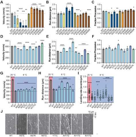 Recoding Site Substitutions Reveal Functionally Important Residues In
