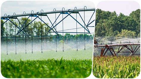 Exploring The Diverse Types Of Irrigation Systems In Agriculture