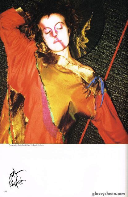 Glossy Sheen Parakeet By Robyn Lambert The Great Aussie Fashion 1984