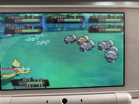 [6] Shiny Zigzagoon In As After 146 Horde Encounters Using Hms Will Be Fabulous R Shinypokemon