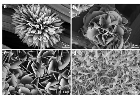 Fig S1 SEM Image Of Ni TDC A Ni TDC AC B NiFe TDC C And Download Scientific Diagram