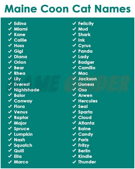 430 Maine Coon Cat Names Ideas And Suggestions Name Guider