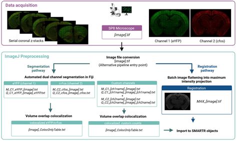 1 Imaging Segmentation And Preprocessing • Smarttr