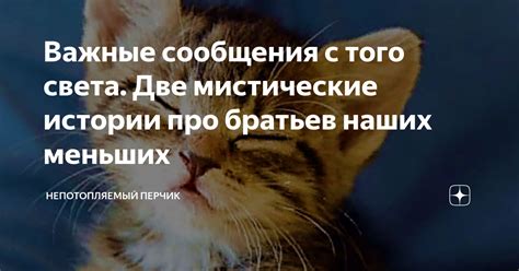 Важные сообщения с того света Две мистические истории про братьев наших меньших Непотопляемый