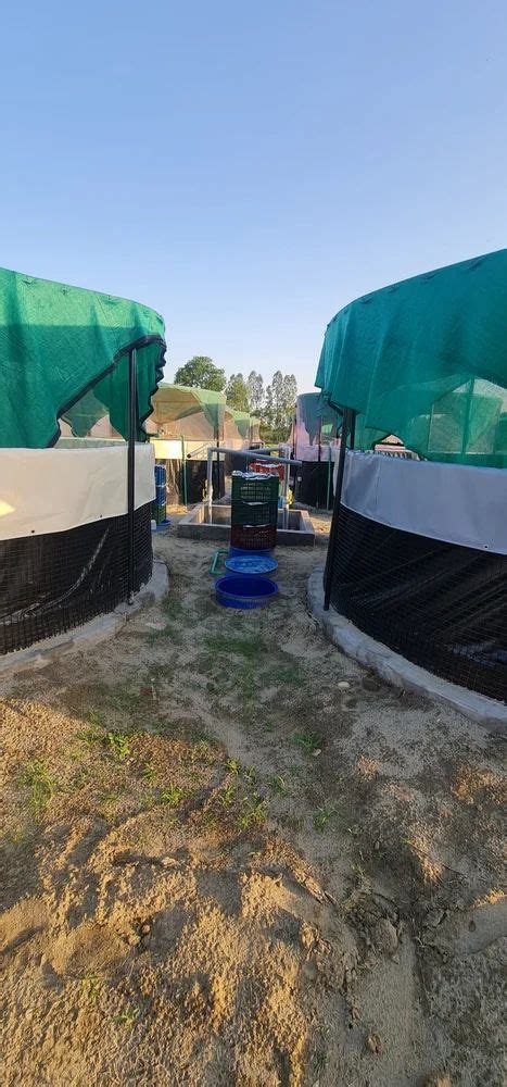 Pvc Biofloc Fish Farming Tank Packaging Type Poly At ₹ 7500piece In