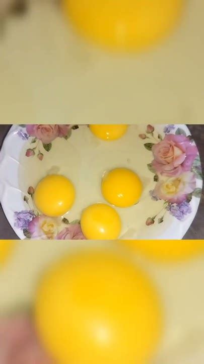 বেগুনের অক্টোপাস Youtube