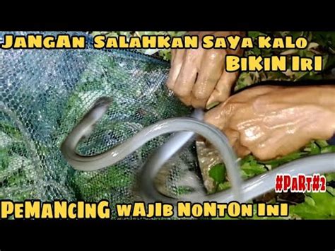 Spot Mancing Ikan Sidat Bikin Iri Pemancing Stracknya Tanpa Batas