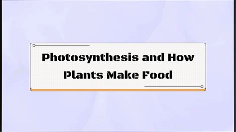 Photosynthesis And How Plants Make Food Animated Video By Toon