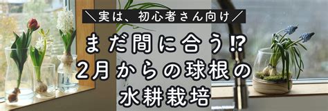 初心者さんにおすすめ。花瓶の選び方と、上手いけるコツ。 Onajimi