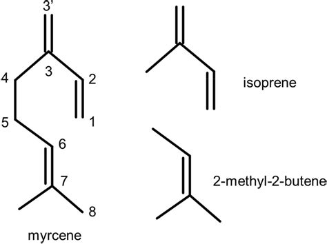 3 Methyl 2 Butene Structure