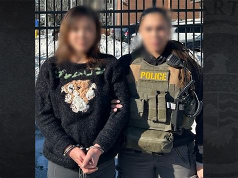 台湾 太阳花女神”在美国被捕凤凰网