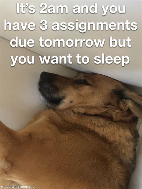 Sleep I Must Scrolller