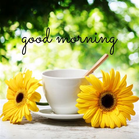 80 Good Morning Template Postermywall