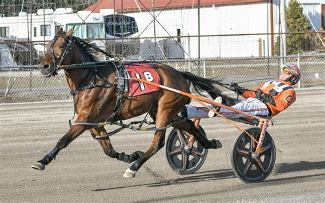 Ranaldi Fastest In Cumberland Co Feature Harnesslink
