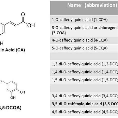 Structure Of Caffeoylquinic And Dicaffeoylquinic Acid Isomers Iupac