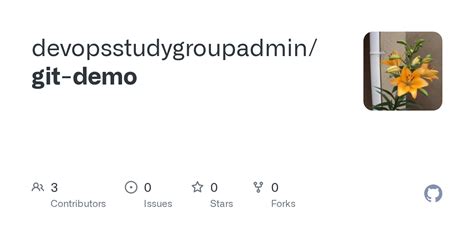GitHub Devopsstudygroupadmin Git Demo