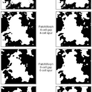 PDF How To Define A Patch A Spatial Model For Hierarchically Delineating Organism Specific