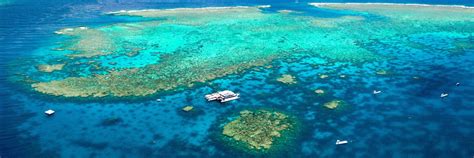 Great Barrier Reef Tours Port Douglas Best Trips