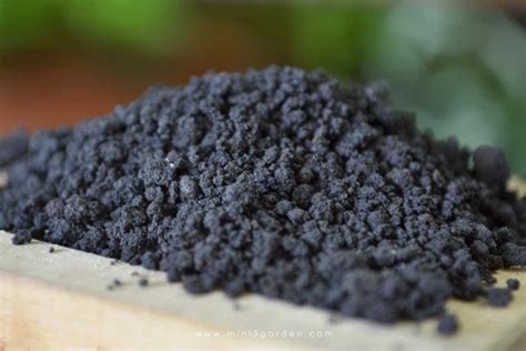 หินภูเขาไฟสีดำ หินลาวาดำ หินทรายสีดำ Black Volcanic Stone Line Shopping