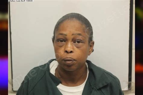 Timicia Jackson — Chatham County Jail Bookings