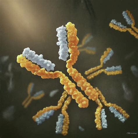 Site Specific Antibody Conjugation Techniques
