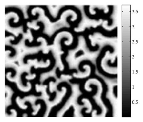 Dynamics Of Model 5 With Both Noise And Periodic Forcing B D And