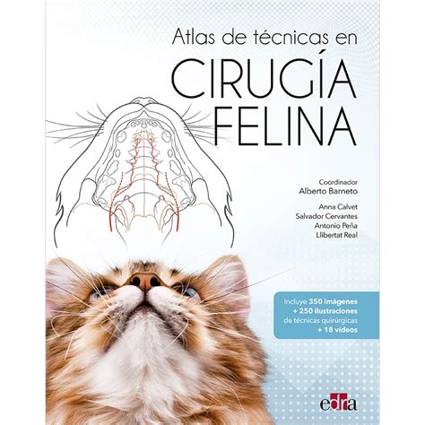 Atlas De Técnicas En Cirugía Felina