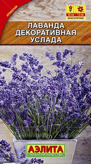 Лаванда Услада декоративная купить в Москве в интернет-магазине Семена ...