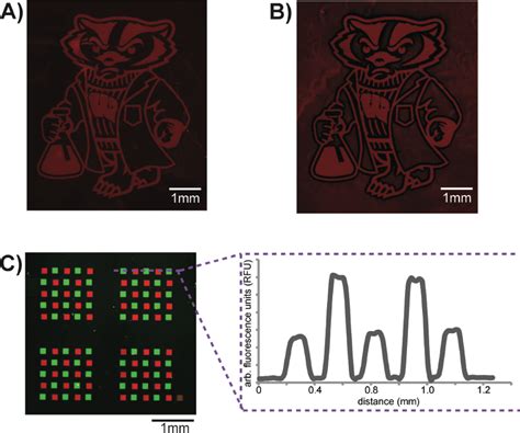 Figure 1 From In Situ Synthesis Of Oligonucleotide Arrays On Surfaces