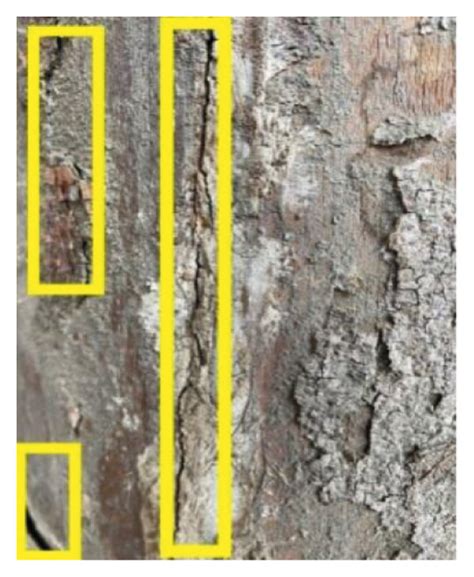 Different Types Of Timber Structure Cracks In Ancient Architecture A Download Scientific