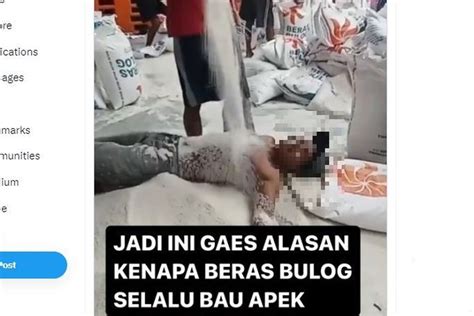 Kronologi Pria Tanpa Baju Guling Guling Di Tumpukan Beras Bulog