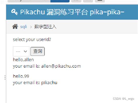 【pikachu Sql】数字型注入（post）2022，超详细pikachu数字型注入 Csdn博客