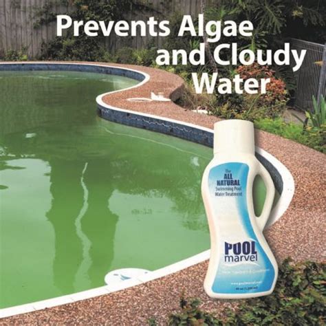 How To Keep Your Pool From Turning Green Prevent Pool Algae