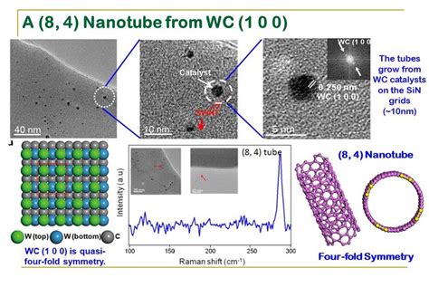 Growth Of Horizontal Carbon Nanotube Arrays With Specific Chirality · Celebrating Millie