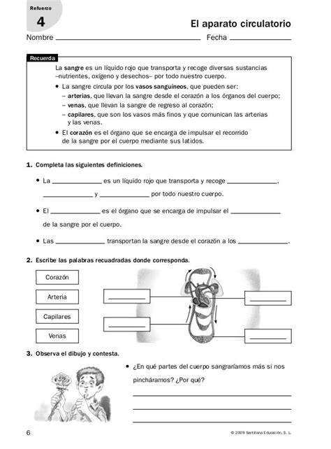 Actividades de refuerzo conocimiento del medio 6º Ccnn Teacher life