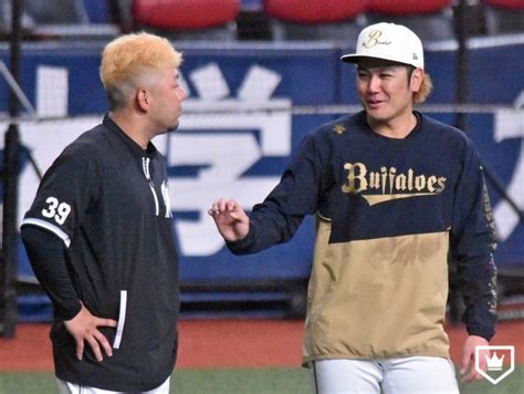 ベースボールキング⚾🥎 On Twitter 🖼写真ギャラリー🖼 🗾 【オリックス】 パ・リーグ公式戦 Vs ロッテ 🗓 2023年6月