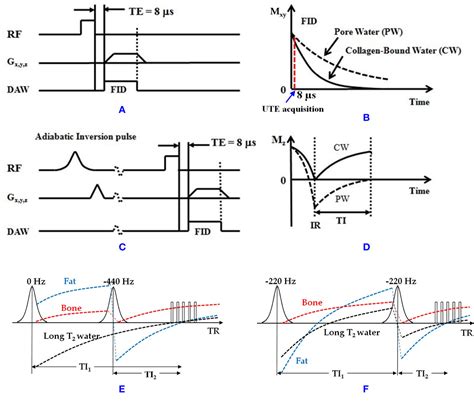 Inversion Recovery Spin Echo Pulse Sequence