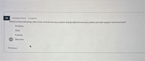 Solved Multiple Choice Pointswhich Of The Following Chegg